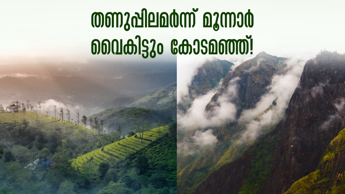 Munnar Winter Tourism: Temperature Dropped, Best Time To Visit Munnar ...