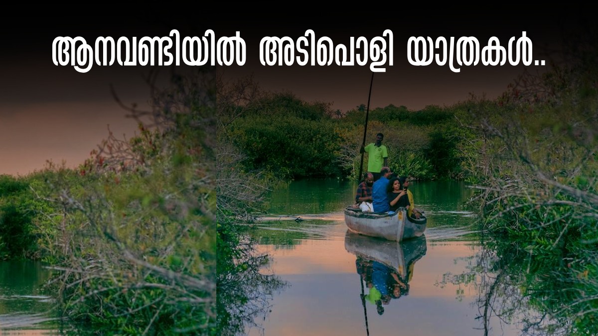 Athirappilly, Sagararani Cruise, Kolukkumalai-Plan Your February Trips ...