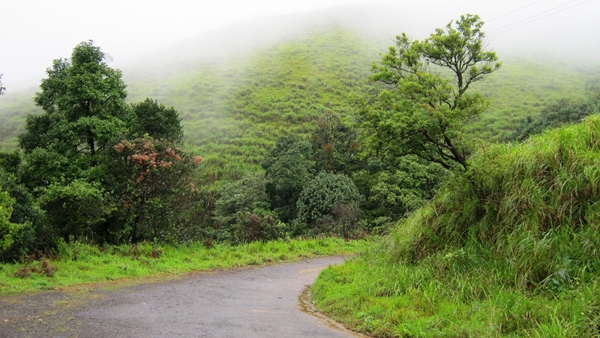 Gavi Tour Package: 47 KSRTC Depots Offering Gavi Tour Under Budget ...