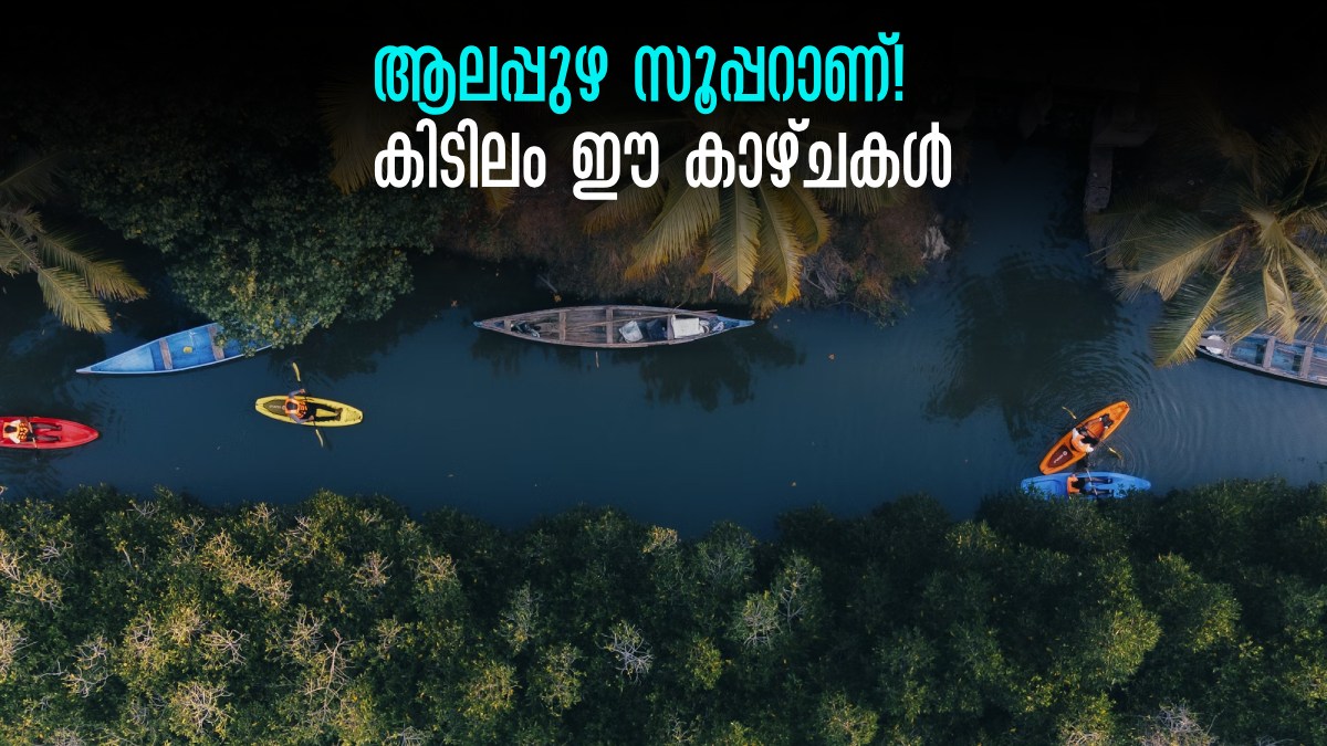 Alappuzha Tourism:5 Offbeat Things To Explore In Alleppey Including ...