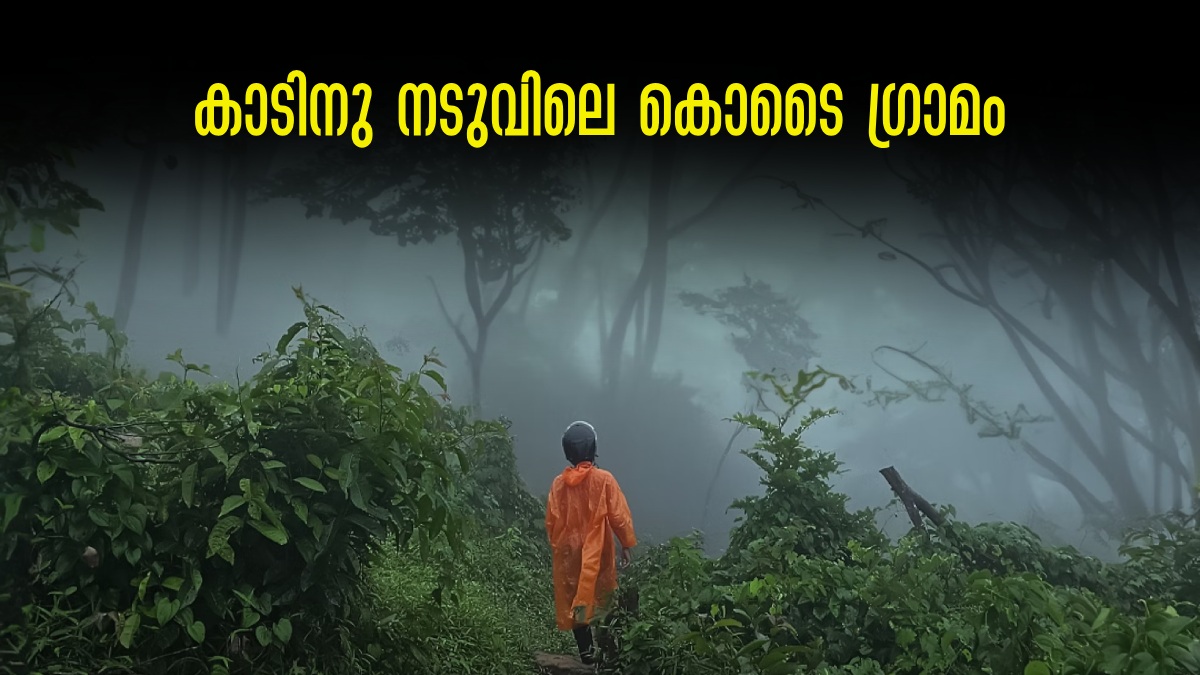 Kookal In Kodaikanal- Offbeat Gem Near Poondi-Route And Details In ...