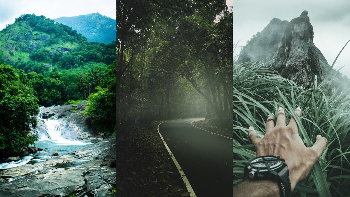 KSRTC Summer Trip March Packages: Perfect Places To Beat The Heat In Kerala | കോടമഞ്ഞു പൊതിഞ്ഞ ...