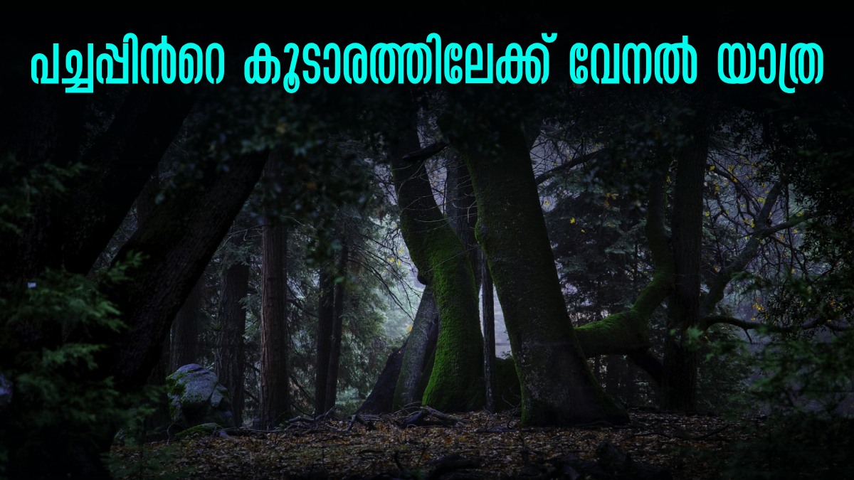 Arippa Eco Tourism One Day Trip From kottarakakra- Booking, Seat, Fare ...