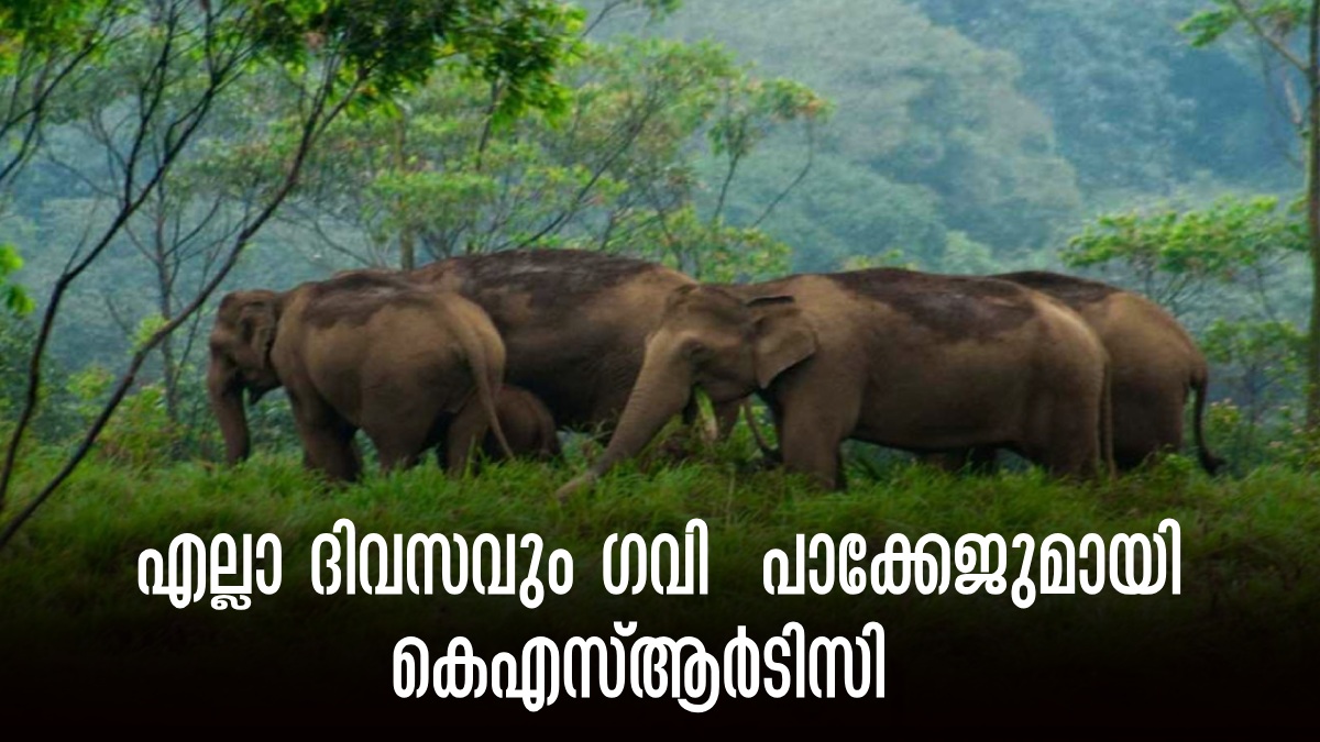 Gavi Tour: KSRTC Budget Tourism May 2024 Gavi Packages Complete List Of ...