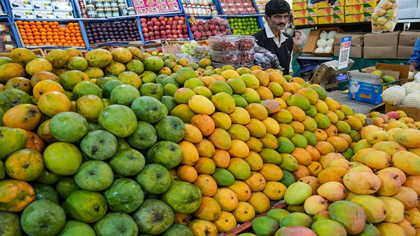 Bangalore Travel Ideas: Lalbagh Mango Mela 2024: Know Date, Timings And ...