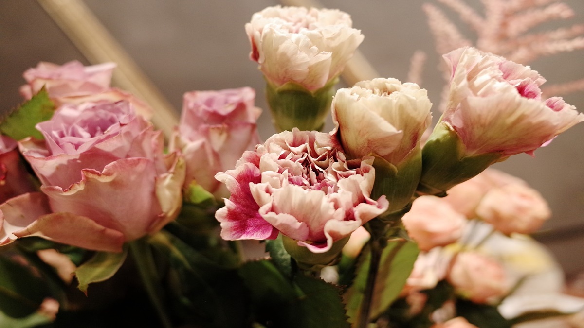 Munnar Flower Show Till May 12, Timings, Entry Fee, Location ...