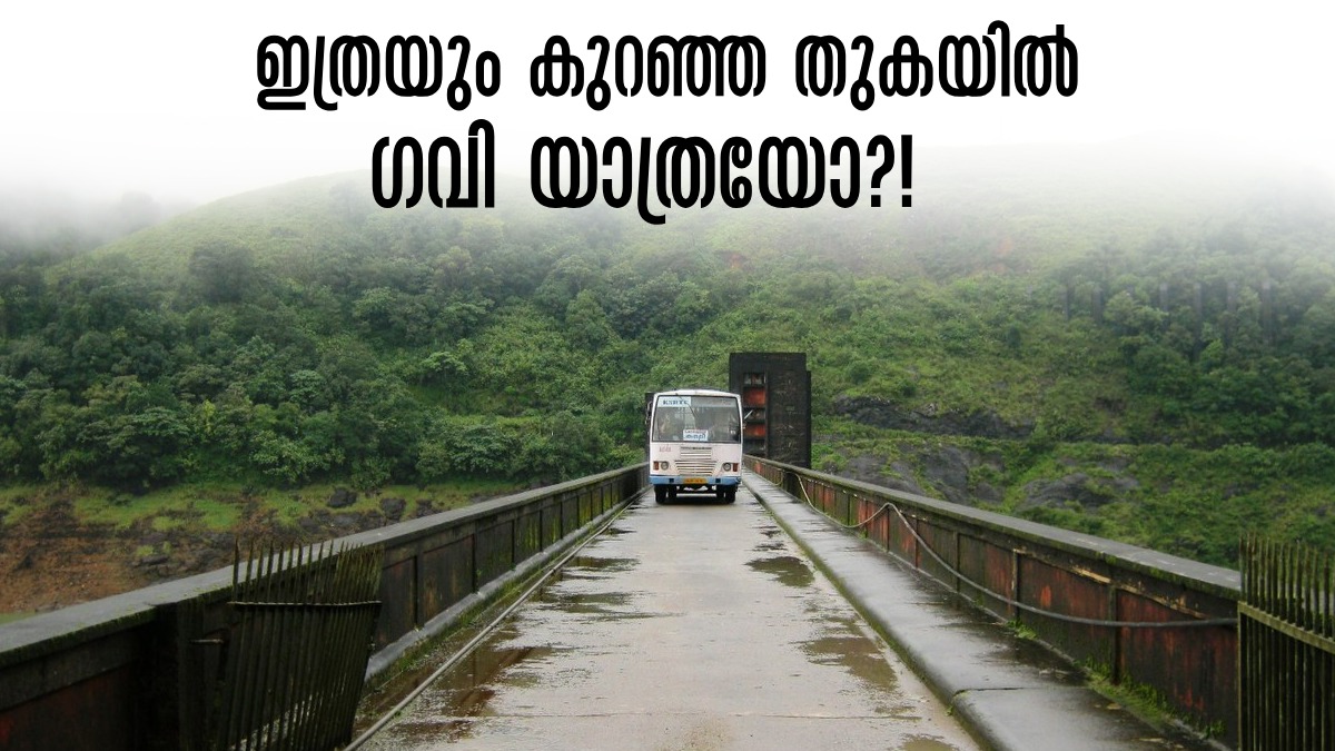 Gavi Tour One Day Package At Just 1400 Rupees, Forest Trip With ...