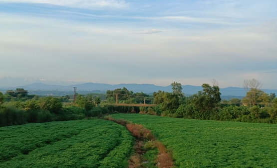 Delhi Travel Ideas: Perfect Delhi Monsoon Escpaes During Rainy Season ...