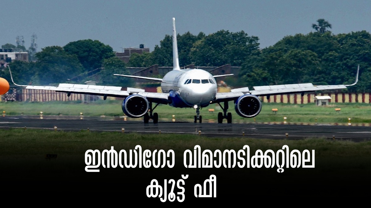 What is Cute Fee' on flight tickets, IndiGo Passenger Asks, This Is ...