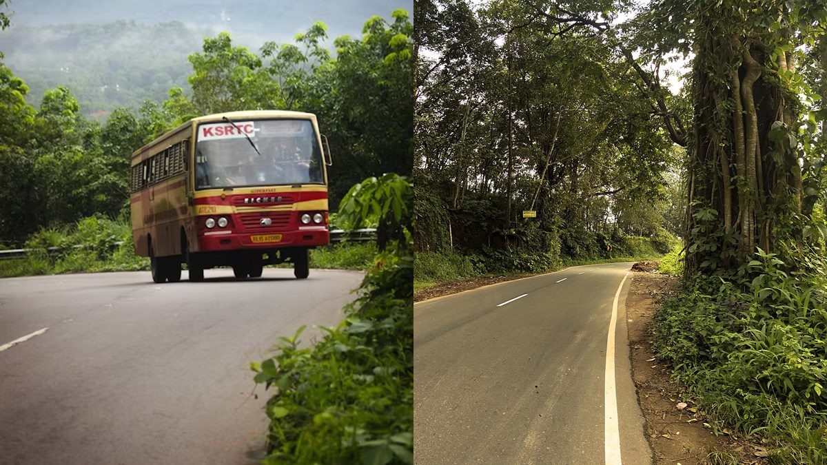 KSRTC Bus Trip Through Forest To See Dam & Wild Animals, Better Than ...
