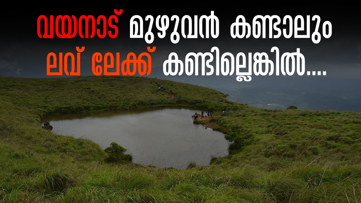 Wayanad Chembra Peak Heart-Shaped Lake Trekking Reopened, Entry, Ticket ...