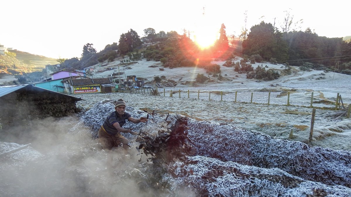 Snowfall In Ooty, Perfect For Christmas New Year Travel, Temperature ...