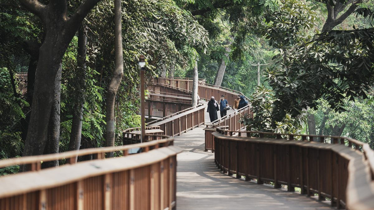 Mumbai's Hidden Natural Treasure: Visit Malabar Hill Nature Trail ...