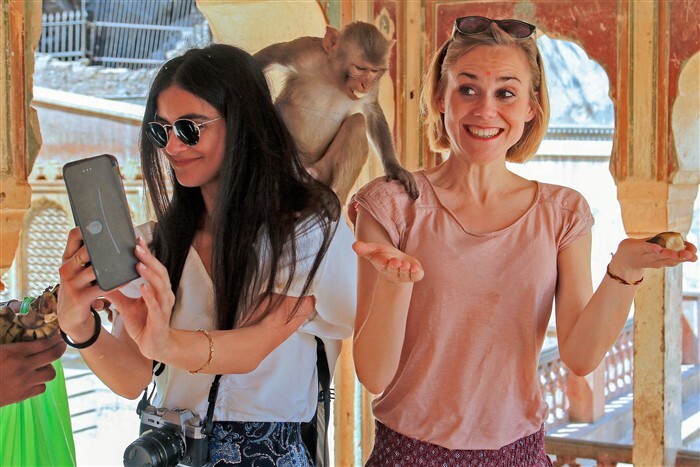 Monkeying Around: Captivating Travel Encounters in Pictures - Nativeplanet