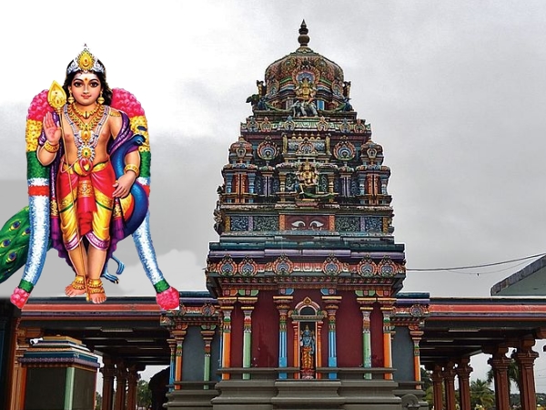 பெண்ணிடம் பால் திருடிக் குடித்த முருகன்... இரத்தவெள்ளமாக மாறிய ...