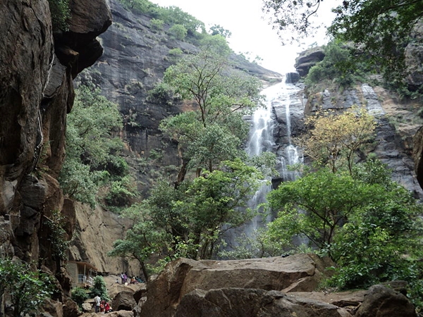 சலசலக்கும் புளியஞ்சோலையும், ஈர்க்கும் பச்சைமலையும்..! | Let's Go To ...