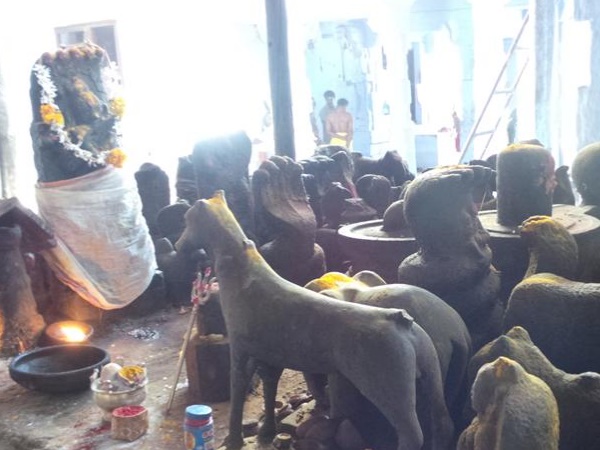 நினைத்த நேரத்தில் கொட்டும் மழை! மர்மங்கள் நிறைந்த பாபநாசம் சொரிமுத்து ...