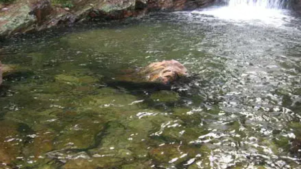 சென்னைக்கு பக்கத்தில இப்படியொரு இடமா – குழந்தைகள் மற்றும் ...