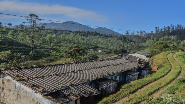 ஆஹா! என்ன அழகு இந்த மாஞ்சோலை – இப்போவே போகணும் போல இருக்கே! | Why ...