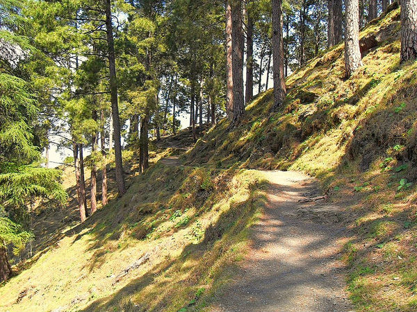 కొత్‌ఖై - యాపిల్ తోటల ఊరు ! | major tourist attractions in kotkhai ...