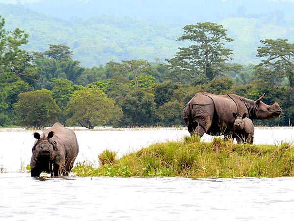 టోక్లాయ్ లో టీ తాగి, మజూలీ ద్వీపంలో నాటు పడవల్లో ప్రయాణం కోసం చలో ...