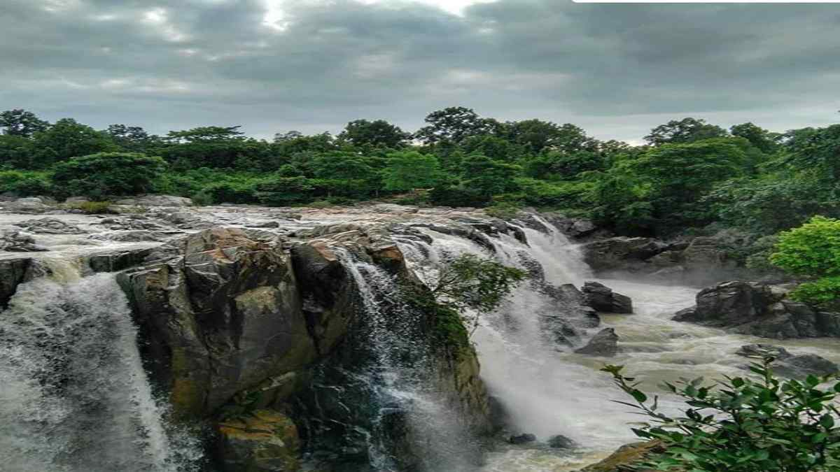 శేషాచ‌లం అడ‌వుల్లో దాగిన గుంజ‌న జ‌ల‌పాత‌పు అందాలు | The beauty of ...